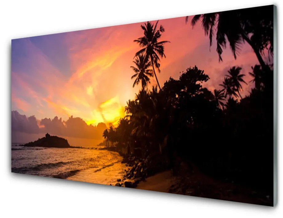akrylový obraz Moře Slunce Palmy Krajina 100x50 cm