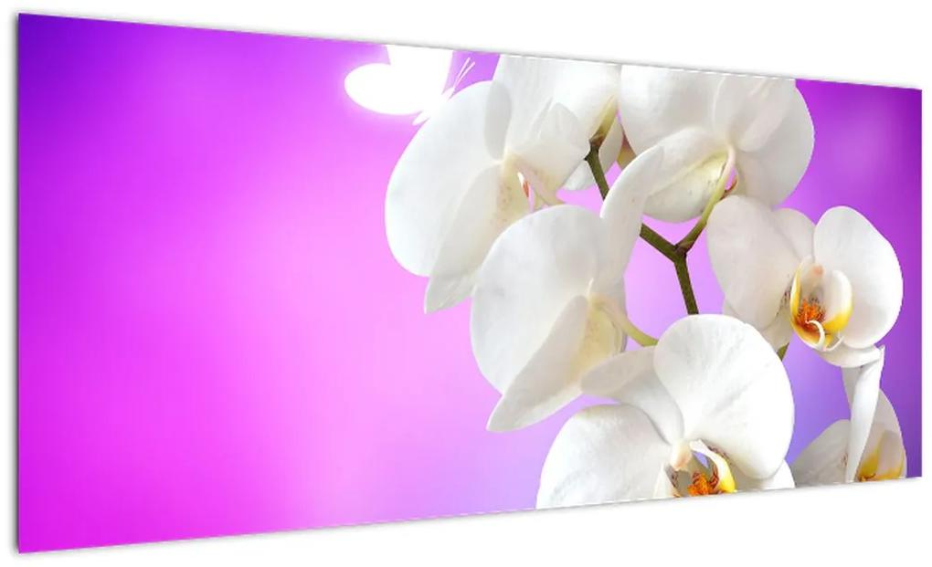 Obraz s orchidejí (100x40cm)