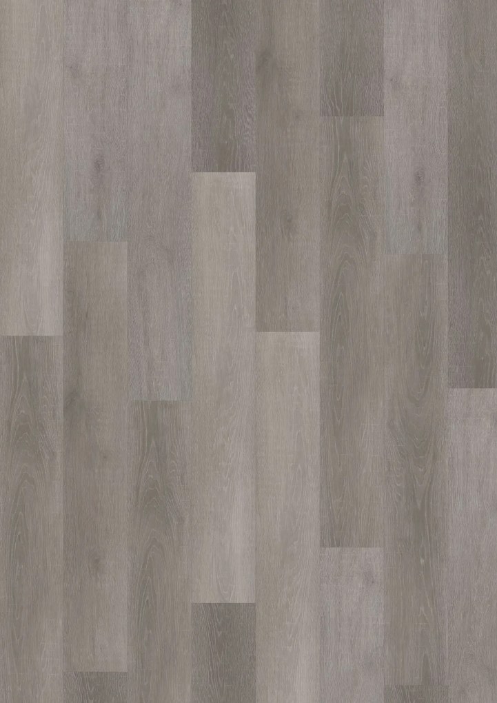 Oneflor, Vinylová podlaha lepená ECO 55 054 Flemish Oak Grey - dub, 1219,2 x 184,1 mm