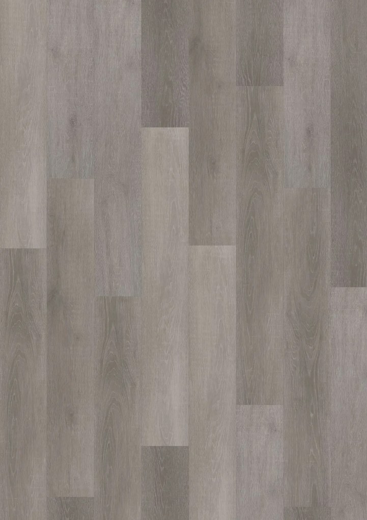 Oneflor Vinylová podlaha lepená ECO 55 054 Flemish Oak Grey  - dub - Lepená podlaha