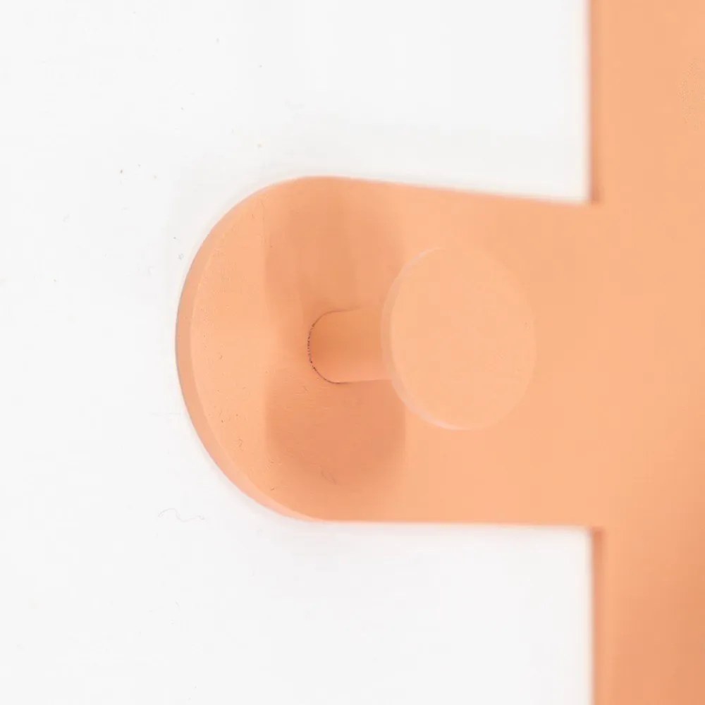 Ocelový nástěnný věšák v lososové barvě 66 cm Frondo – Spinder Design