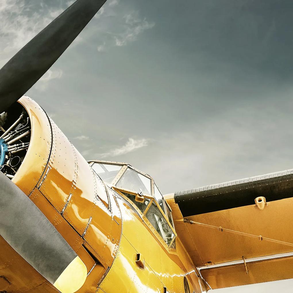 Malvis ® Obraz Žluté letadlo Velikost (šířka x výška): 90x60 cm