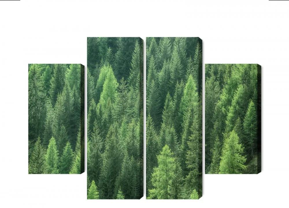 Vícedílný obraz 3D Pohled Na Zelený Les Nedostatek Nedostatek Plátno Canvas 200x150