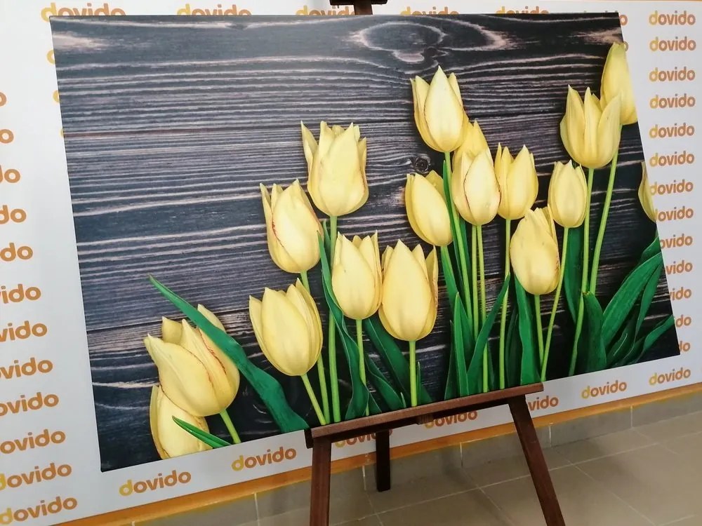 Obraz očarující žluté tulipány na dřevěném podkladě - 90x60 cm