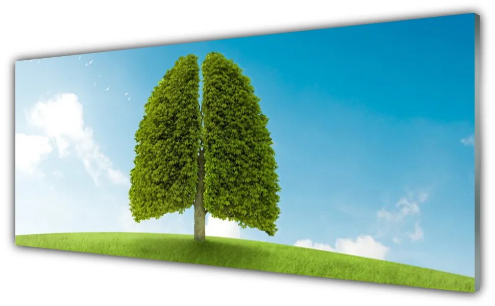 akrylový obraz Tráva Strom Plíce Příroda 125x50 cm