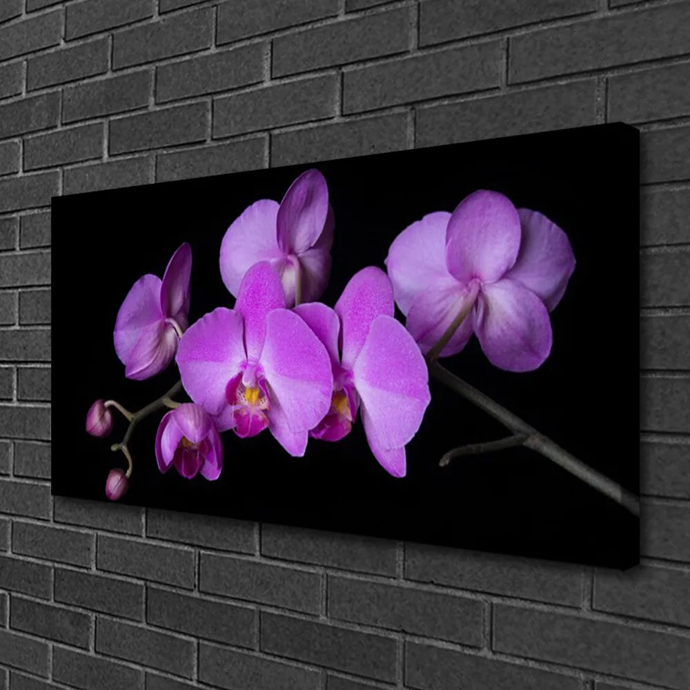 Obraz na plátně Vstavač Orchidej Květiny 100x50 cm