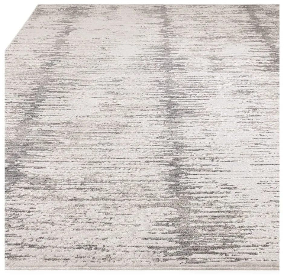 Koberec 200x300 cm Anders Grey – Asiatic Carpets