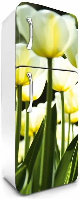 Fototapeta na lednici White Tulips 65 x 180 cm FR180-026