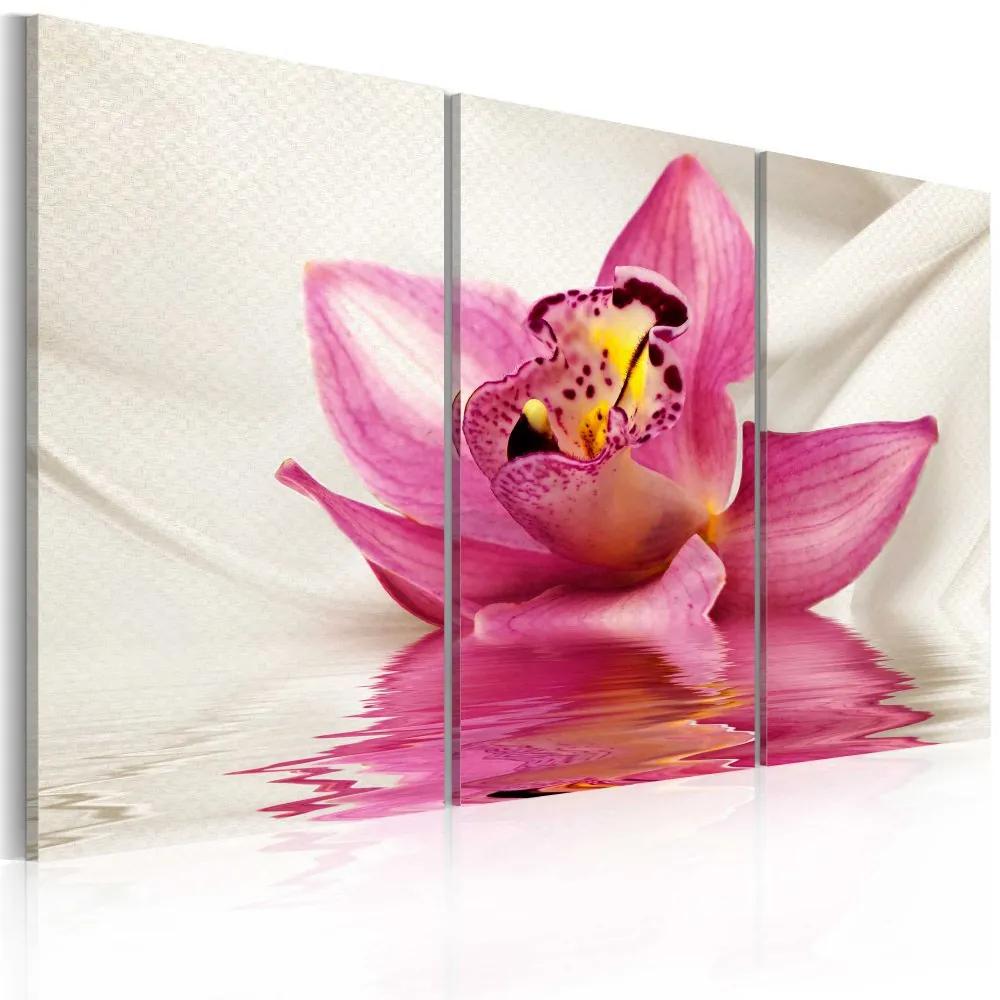 Obraz na plátně Bimago - Unusual orchid - triptych 60x40 cm