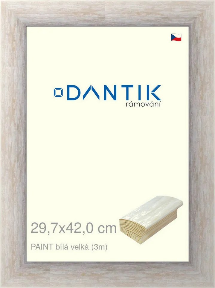 DANTIK rámeček 29,7x42 | PAINT bílá velká (Plexi Čiré)