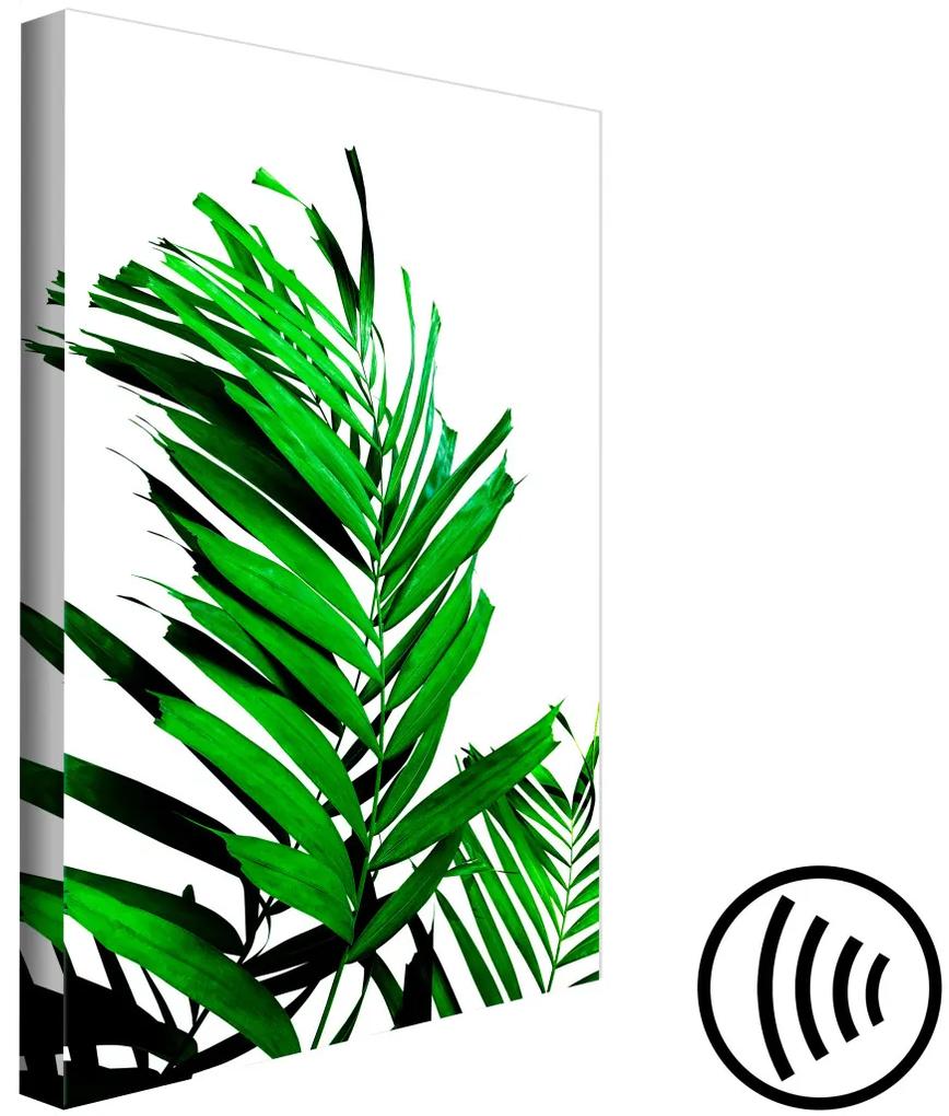 Obraz Exotická příroda (1-dílný) - zelené listy palmy na bílém pozadí