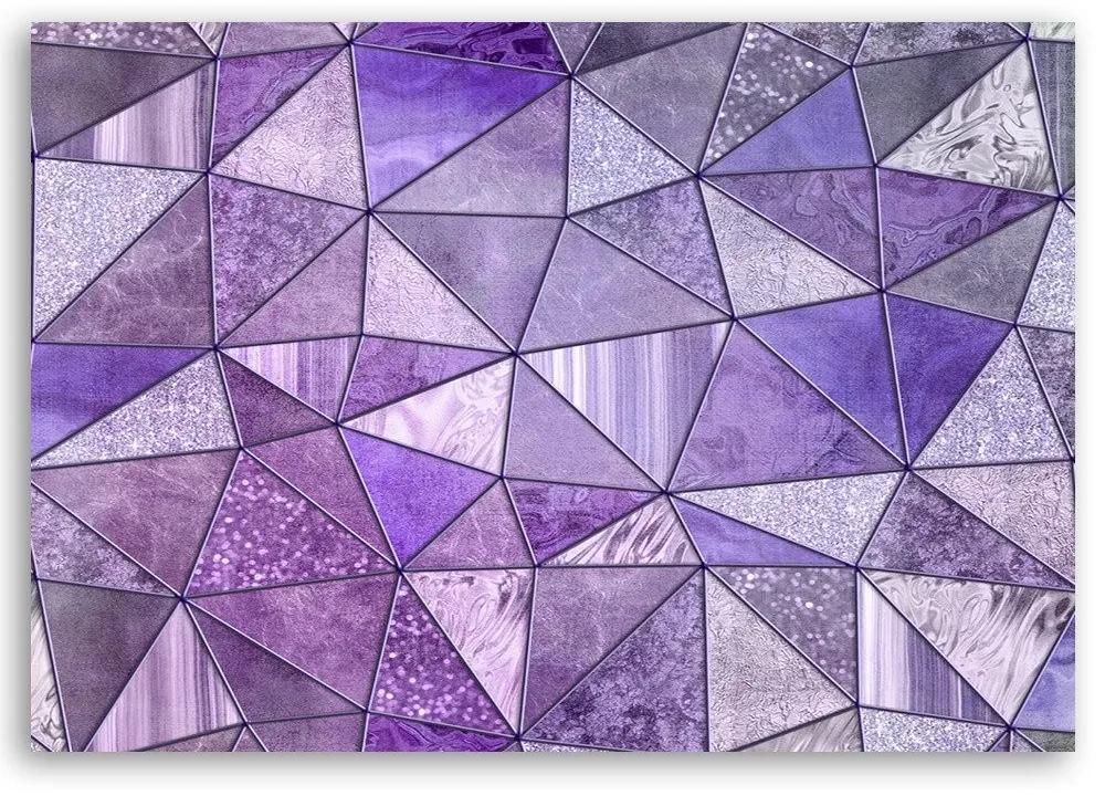 Gario Obraz na plátně Fialové geometrické tvary - Andrea Haase Rozměry: 60 x 40 cm
