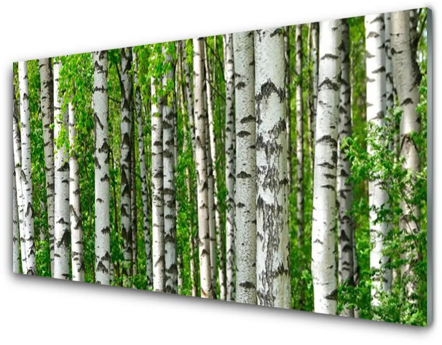 akrylový obraz Les Rostlina Příroda 120x60 cm