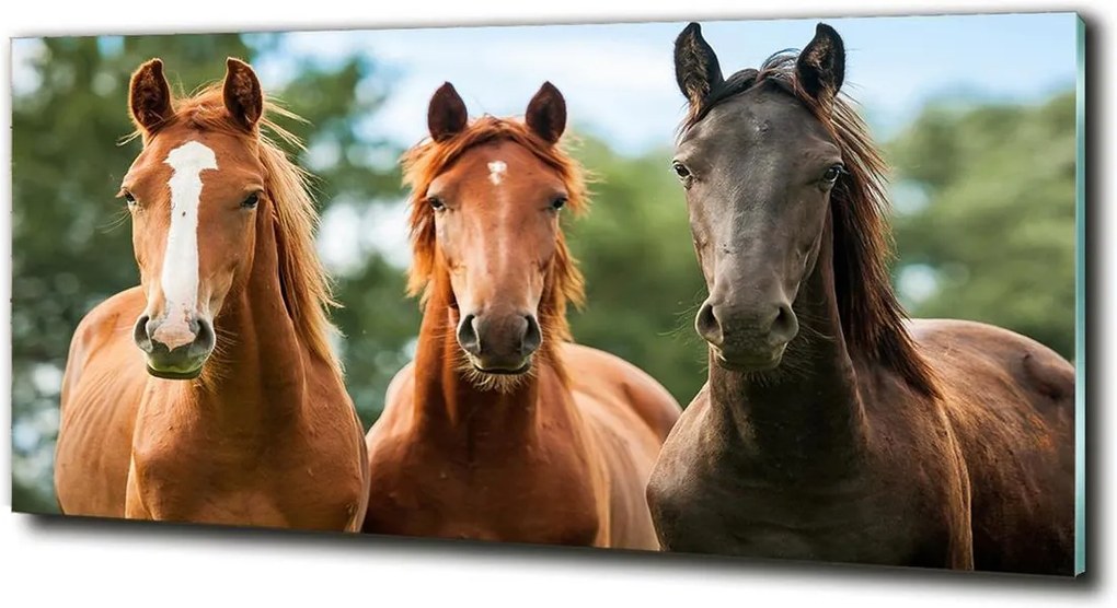 Moderní skleněný obraz z fotografie Tři koně