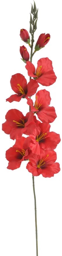 gladiola 77 cm - červená