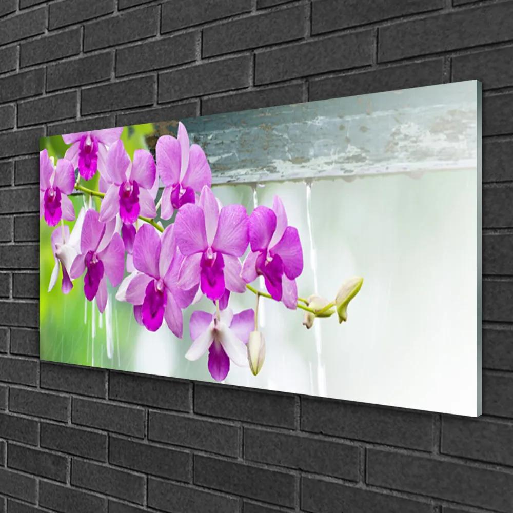 Obraz na skle Orchideje Kapky Příroda 120x60 cm