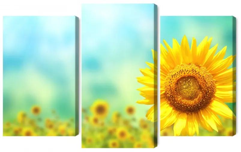 Vícedílný obraz Dekorativní 3D Květy Slunečnice Nedostatek Nedostatek Přírodní plátno 150x100