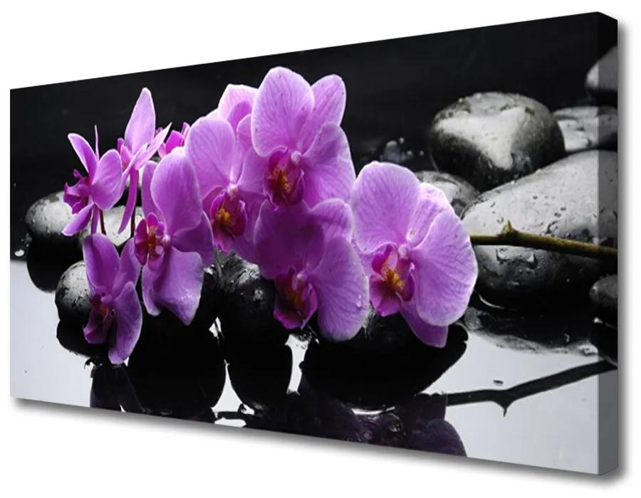 Obraz na plátně Květ Kameny Rostlina 125x50 cm