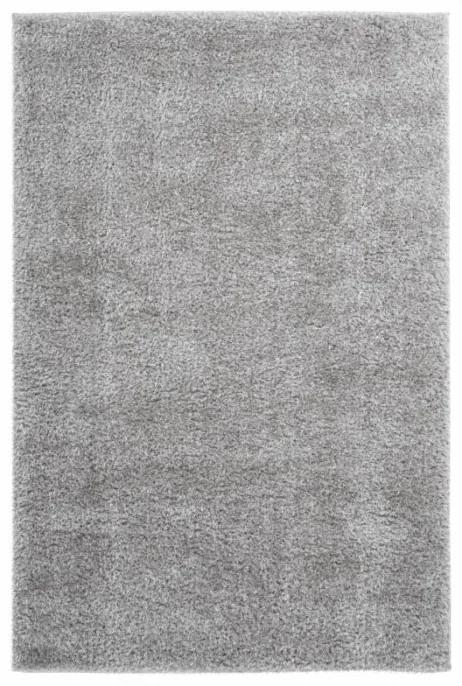 Kusový koberec Emilia 250 silver 120 x 170 cm