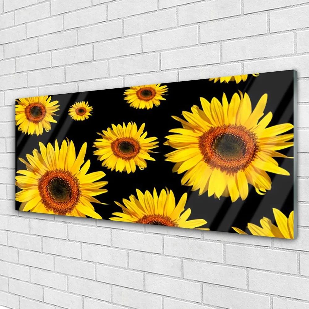 akrylový obraz Slunečnice Rostlina Příroda 125x50 cm