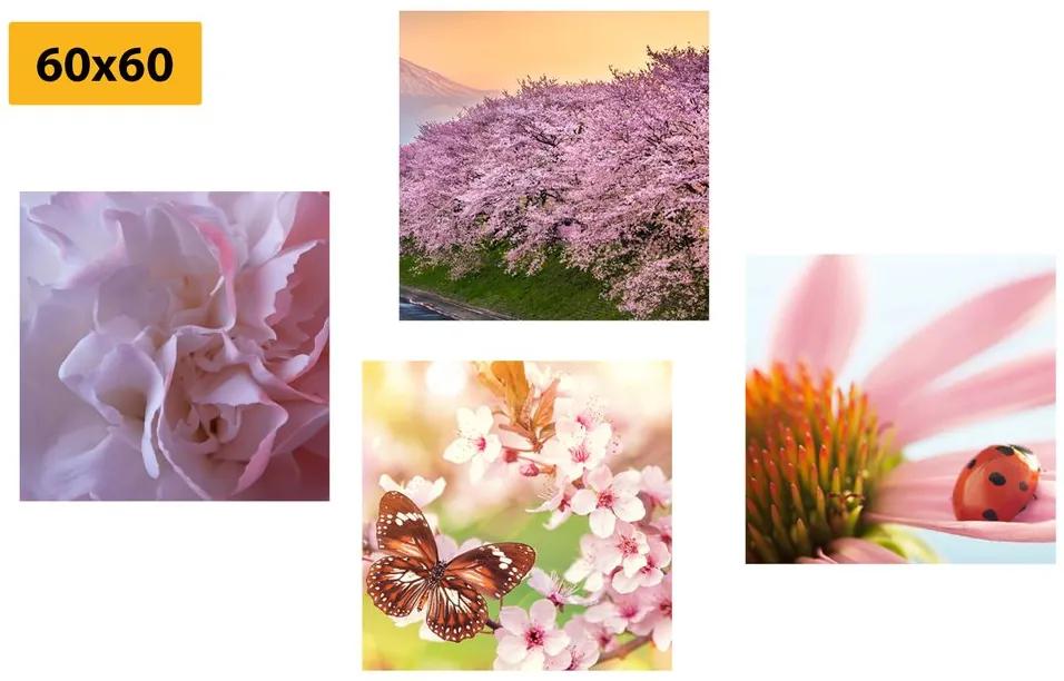 Set obrazů rozkvět přírody Varianta: 4x 40x40
