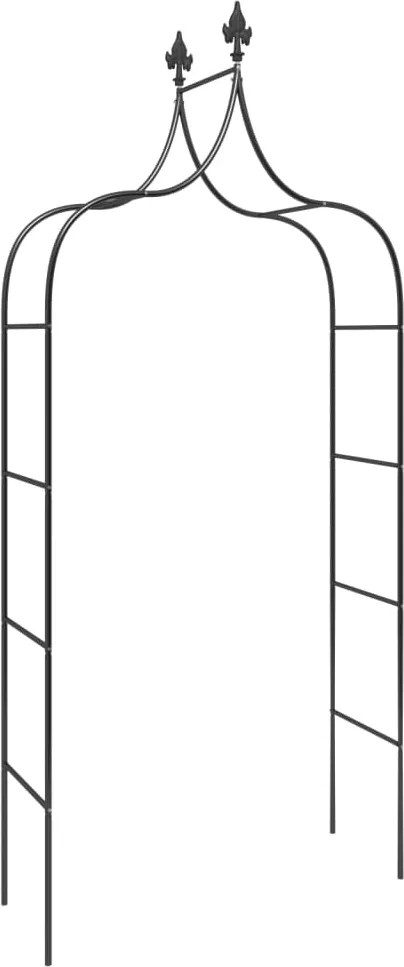 Zahradní oblouky 2 ks černé 120 x 38 x 260 cm ocel 319349