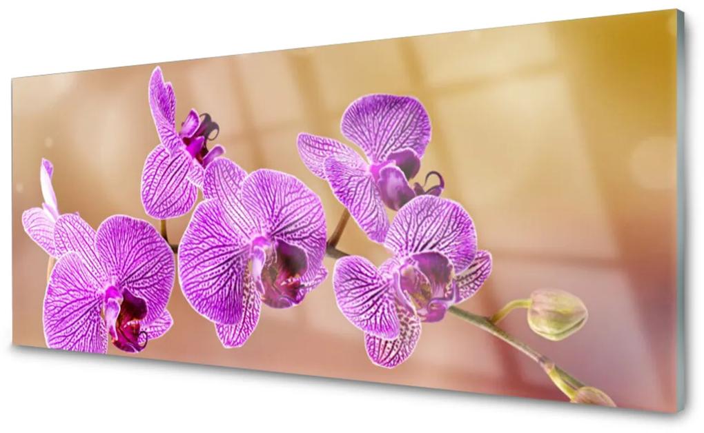 Skleněné obklady do kuchyně Orchidej Výhonky Květiny Příroda