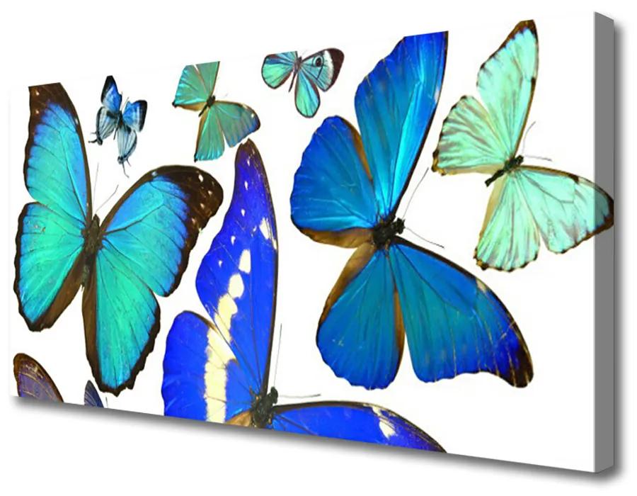 Obraz na plátně Motýli Příroda 120x60 cm