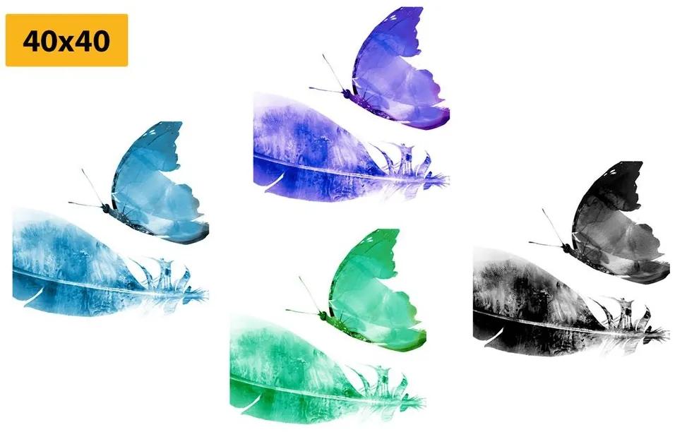 Set obrazů barevné motýly - 4x 40x40 cm