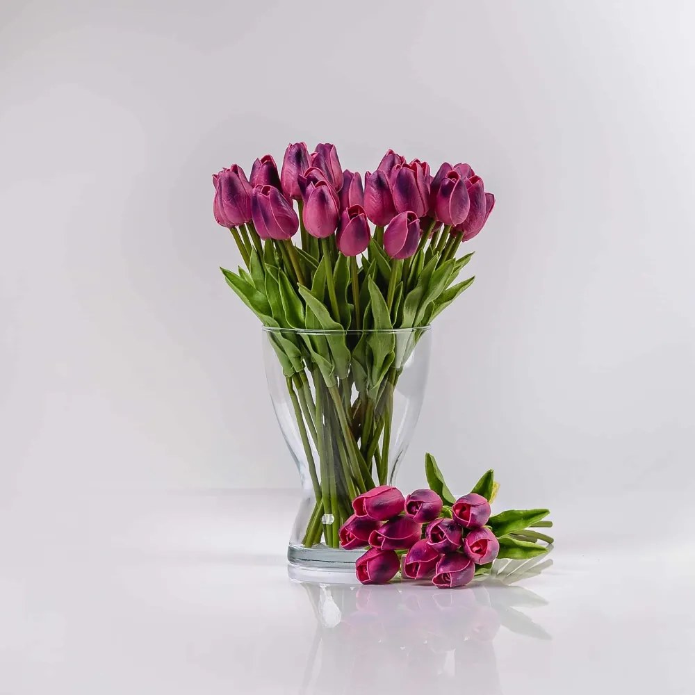 Rozkošný tulipán IVONA