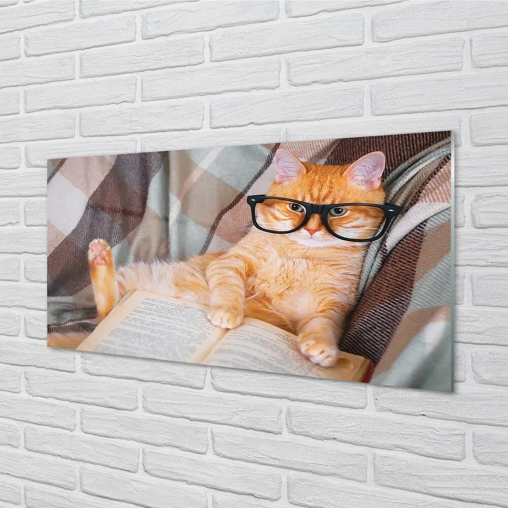 Obraz na skle Čtenář cat 120x60 cm