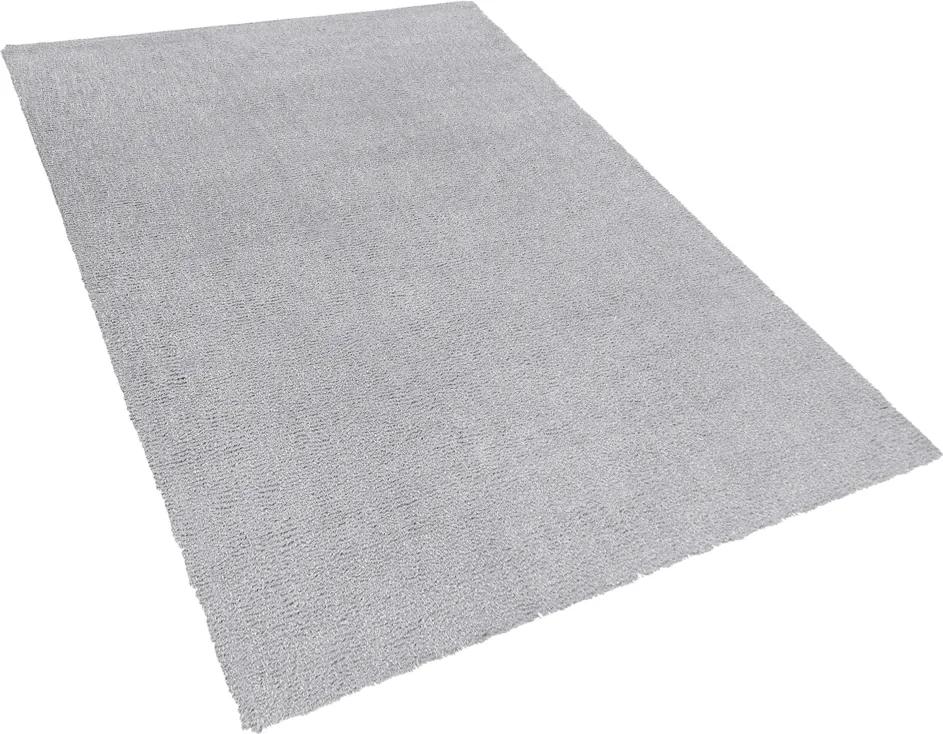 Světle šedý koberec 200x300 cm DEMRE