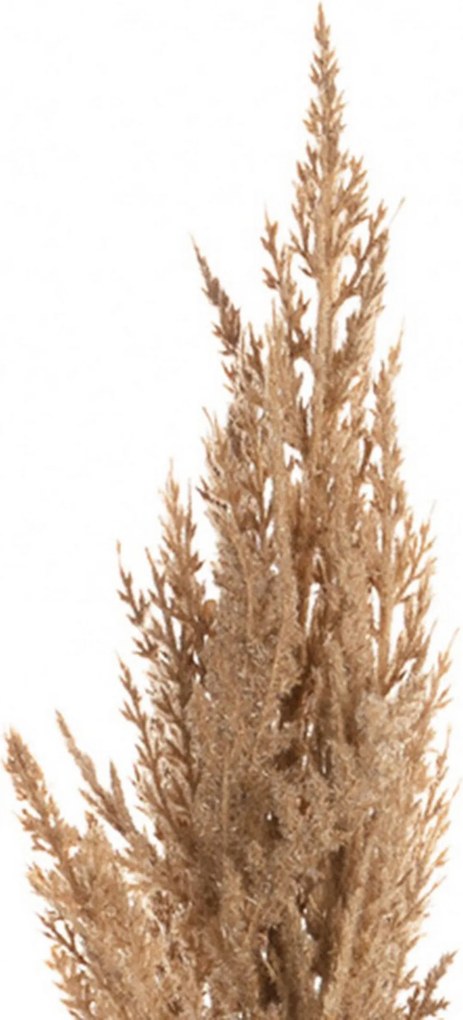 Větvička pampové trávy 90cm beige