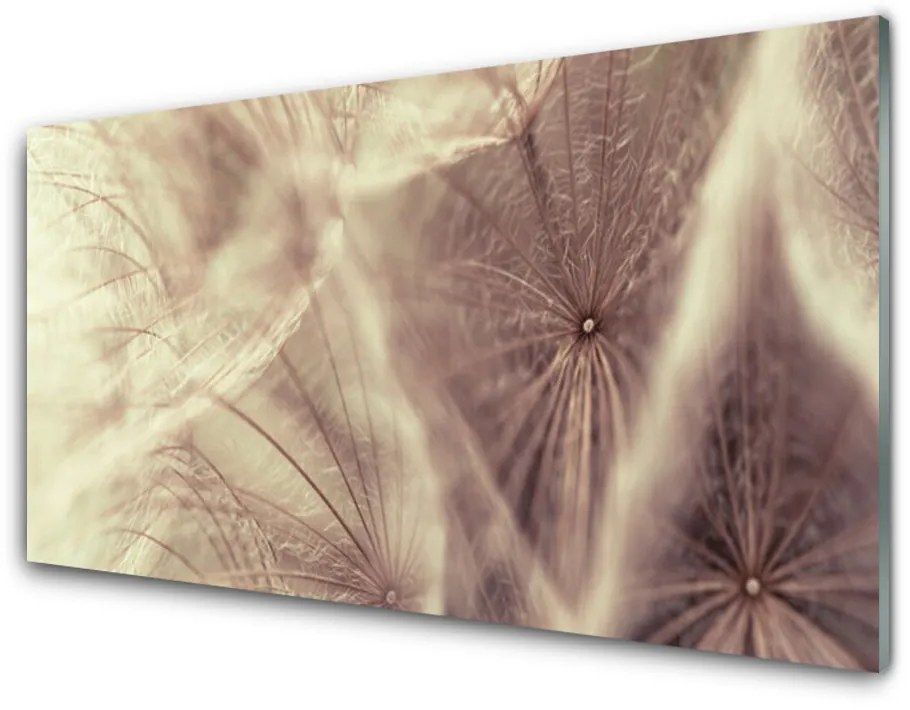 akrylový obraz Pampeliška Rostlina 140x70 cm