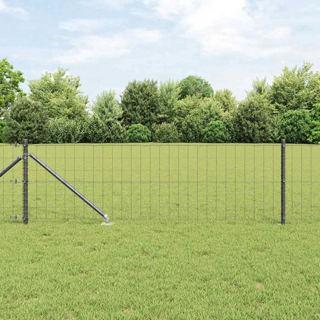 Evropský plot se hroty 10 x 0,6 m Ocel potažená PVC Šedá 3350651