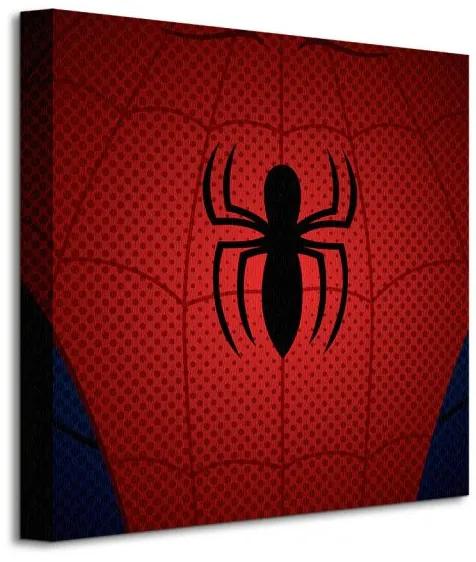 Obraz na plátně Marvel Ultimate Spider-Man (Spider-Man Torso) 40x40cm WDC95216