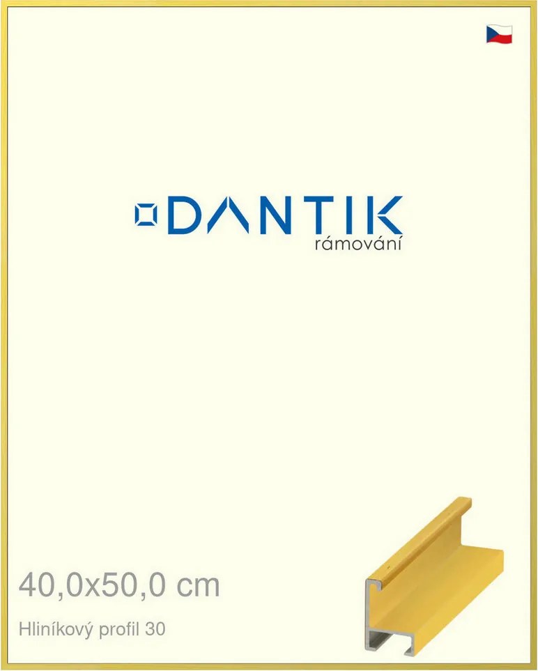 DANTIK rámeček 40x50 | ALU profil 6030 Dýha barevná žlutá citrus (Sklo Čiré)