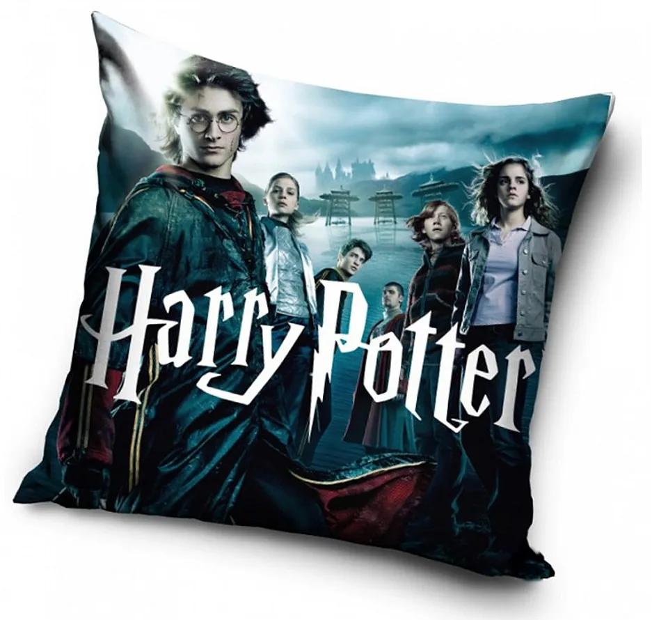 Polštářek Harry Potter Čarodějovi učni, 40 x40 cm
