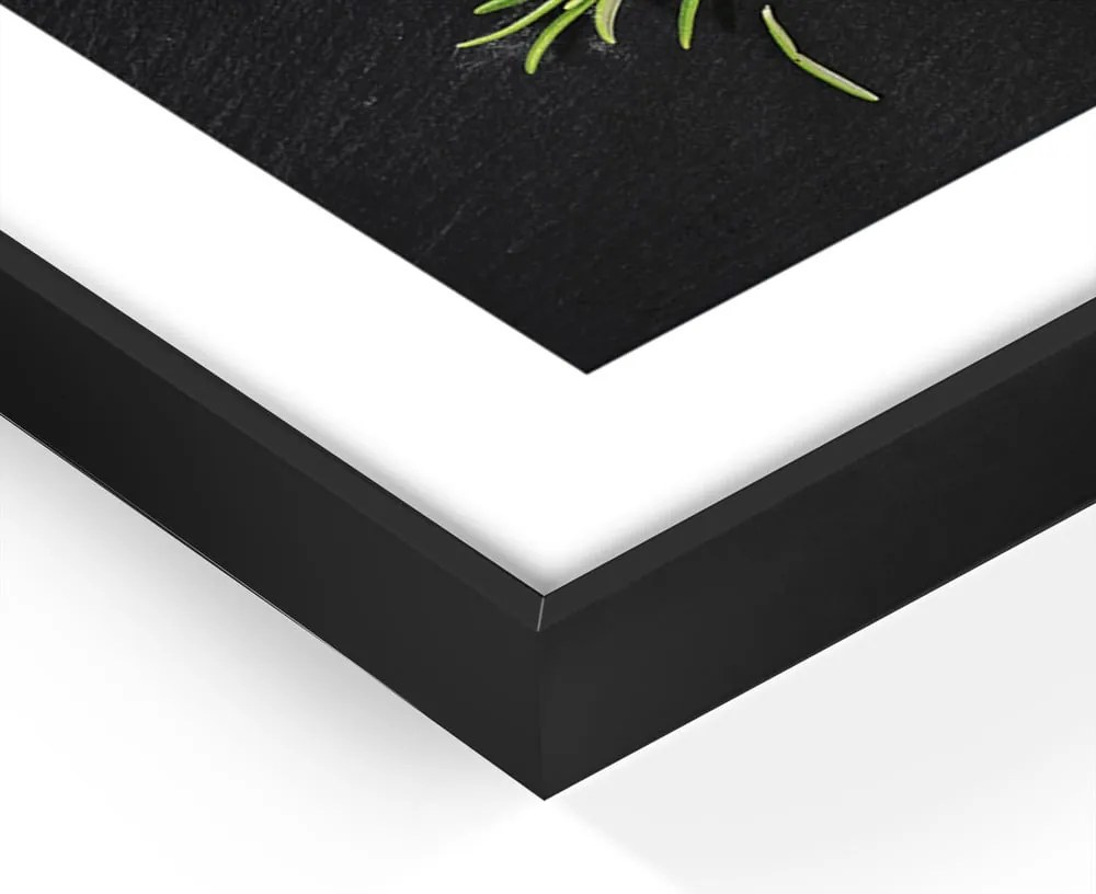 Obraz 50x70 cm Rosemary – Styler