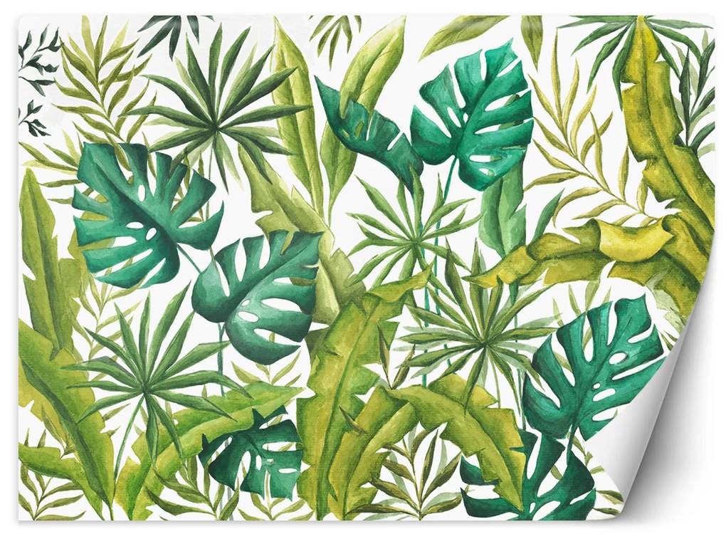 Gario Fototapeta Zelené monstery na bílém pozadí Materiál: Vliesová, Rozměry: 200 x 140 cm