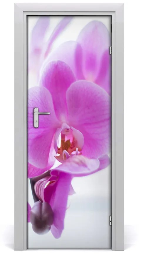 Fototapeta na dveře Růžová orchidej 75x205 cm