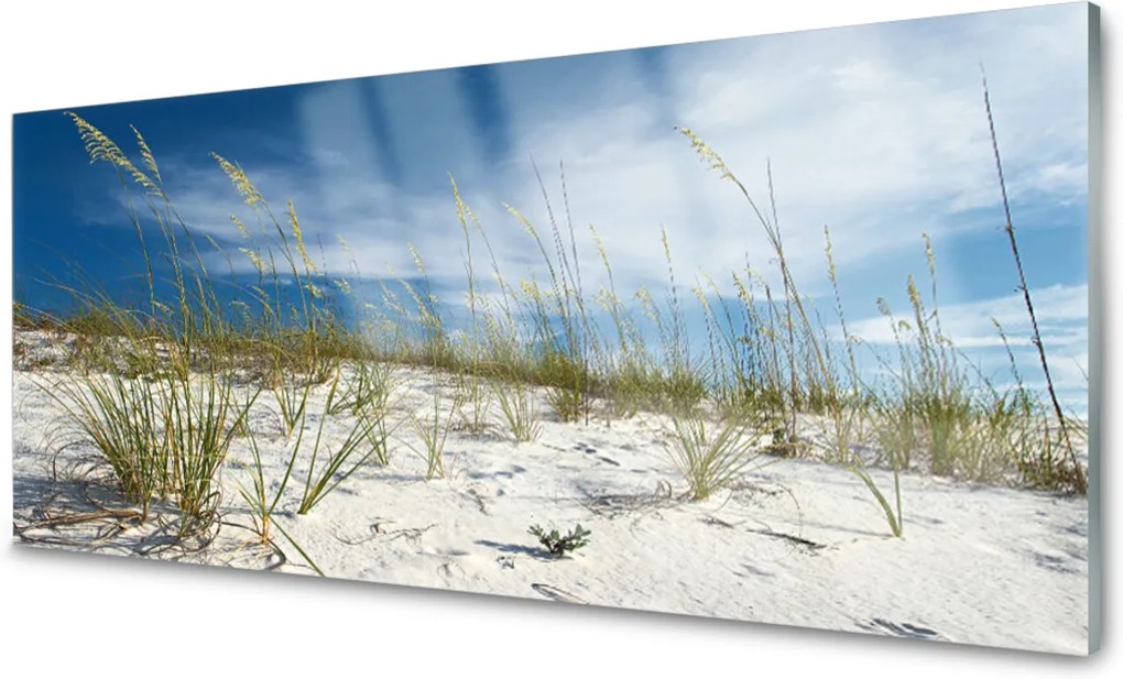 Obraz na skle Skleněný Pláž Krajina