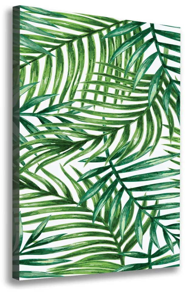 Wallmuralia Foto obraz canvas Listí palmy 70x100 cm