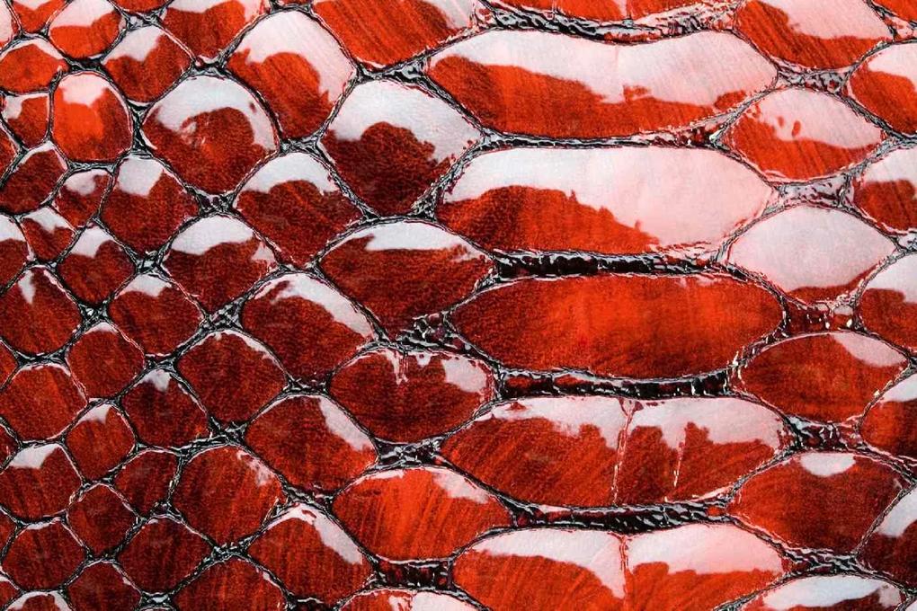 DIMEX | Samolepicí vliesová fototapeta na zeď Červená hadí kůže MA-5-2587 | 375 x 250 cm | červená