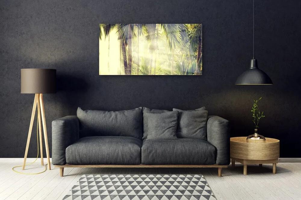 Obraz na skle Les Palmy Stromy Příroda 140x70 cm