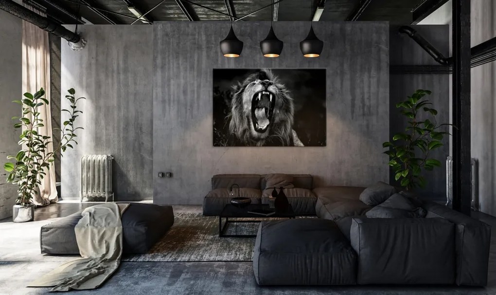 Malvis ® Obraz Černobílý královský lev Velikost: 60x40 cm