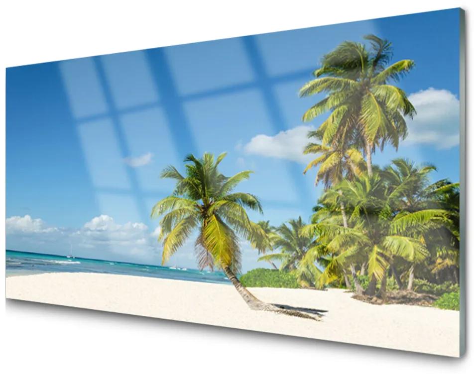 Plexisklo obraz Pláž Palma Moře Krajina