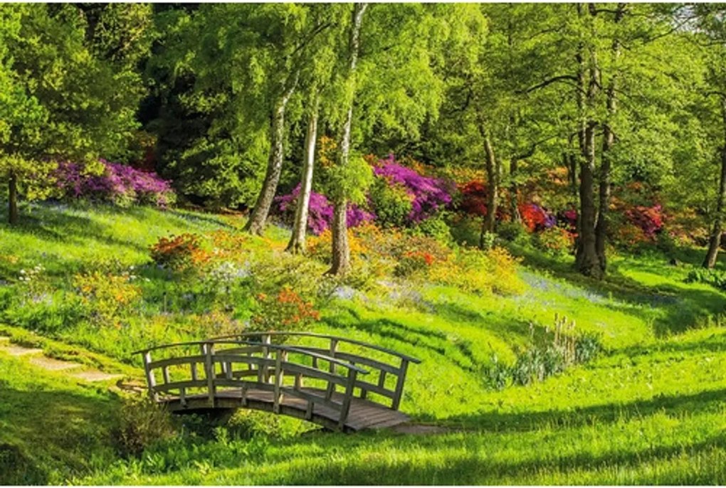 Bondecor Obraz, tištěné plátno CAGI Krajina bridge 80 x 150 cm