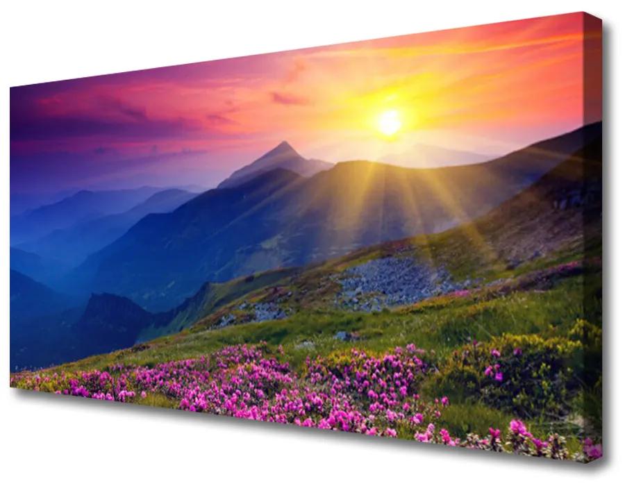 Obraz na plátně Hory Květ Louka Krajina 120x60 cm