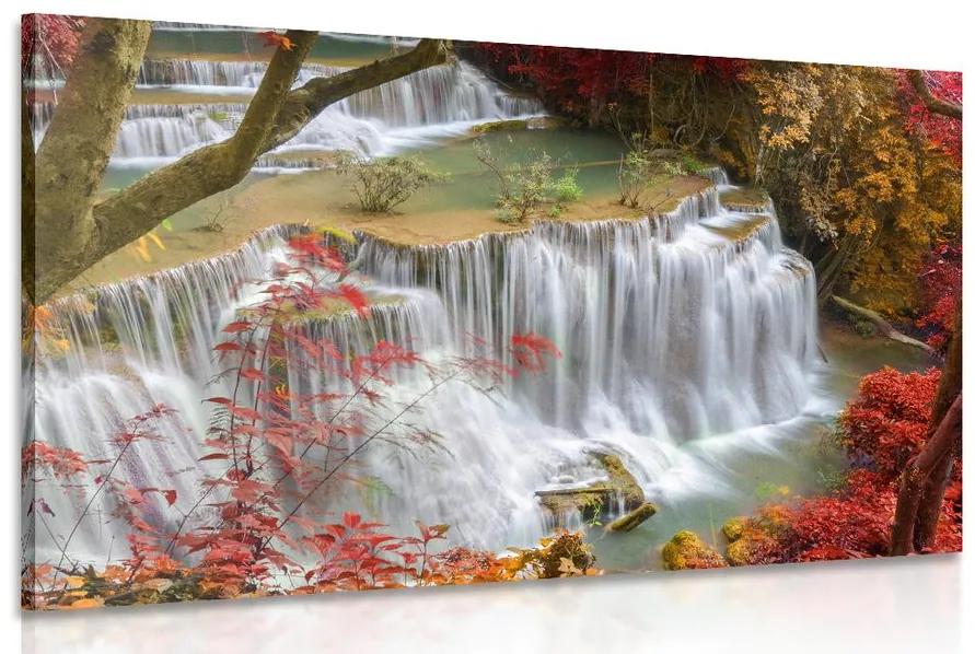 Obraz lesní vodopád Varianta: 120x80